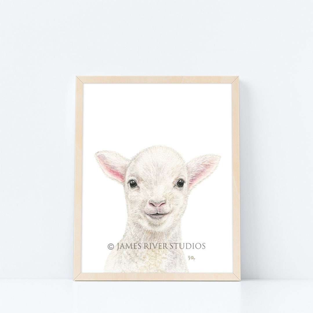 Lamb Art Portrait Lamb Print Lamb Painting, Baby Lamb Watercolor Lamb ...