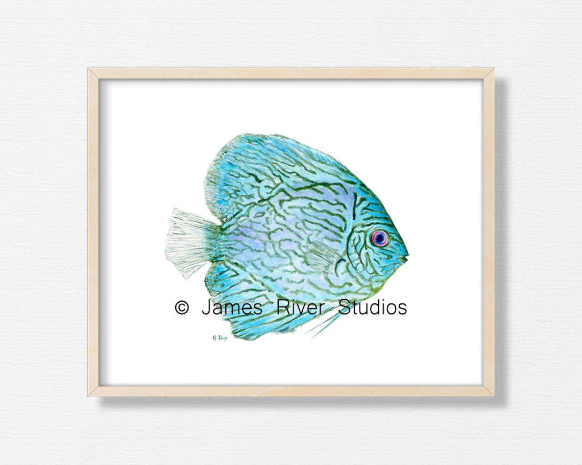 Blue Tropical Fish Art Tropical Fish Painting Blue Fish Print. | Etsy