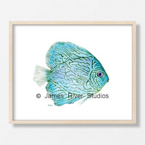 Blue Tropical Fish Art Tropical Fish Painting Blue Fish Print. | Etsy