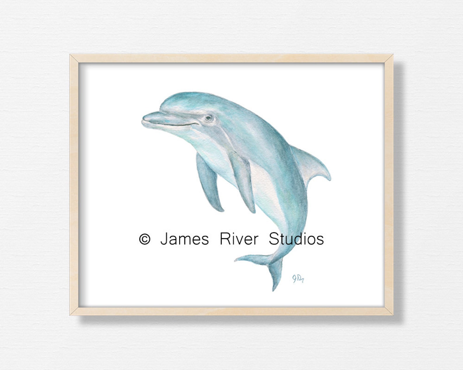 Dolphin Art Print Dolphin Wall Art Dolphin Print Dolphin Wall | Etsy
