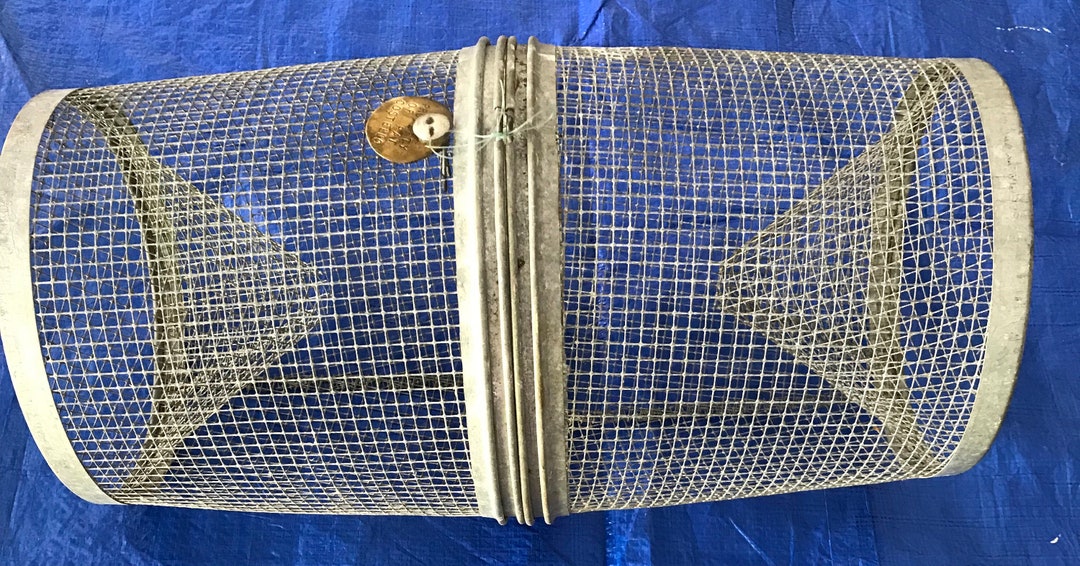 Killie Trap 1950s Galvanized Steel Good Condition. Take a - Etsy
