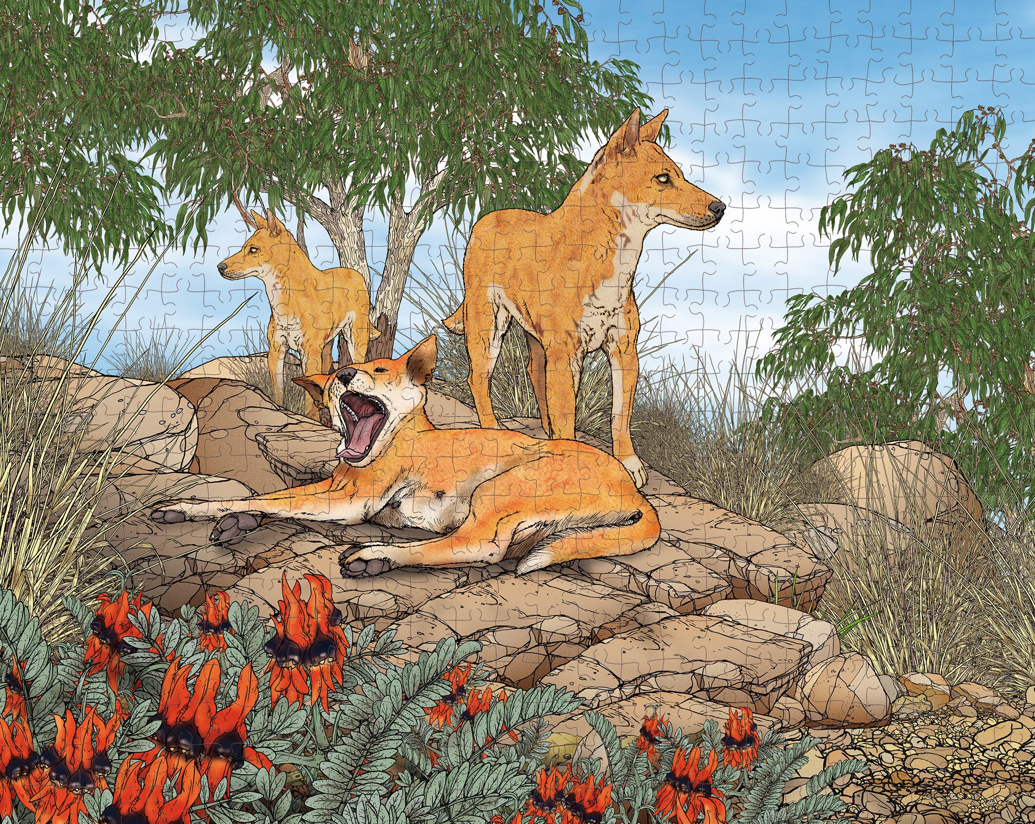 Australian Bush Creatures Jigsaw Puzzle, Illustrated Art, 500 Piece - Etsy