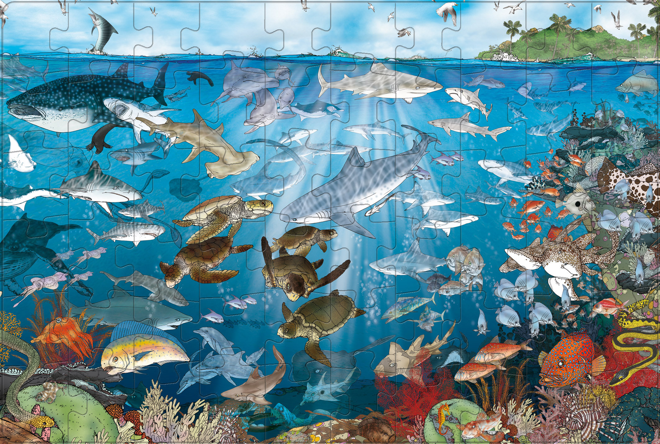 Australian Bush Creatures Jigsaw Puzzle. Original Pictures Illustrated ...