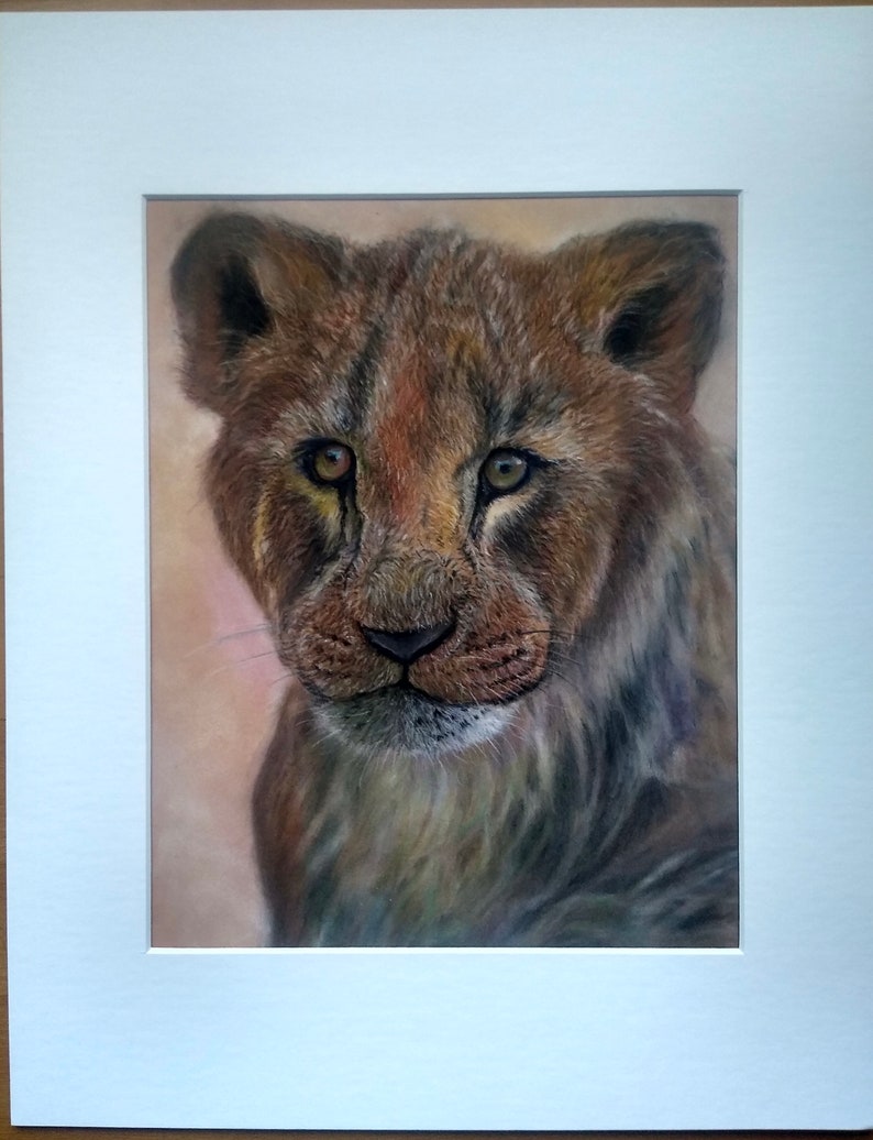 LION CUB SYMBA Orginal Pastel Drawing 8 X 10 - Etsy