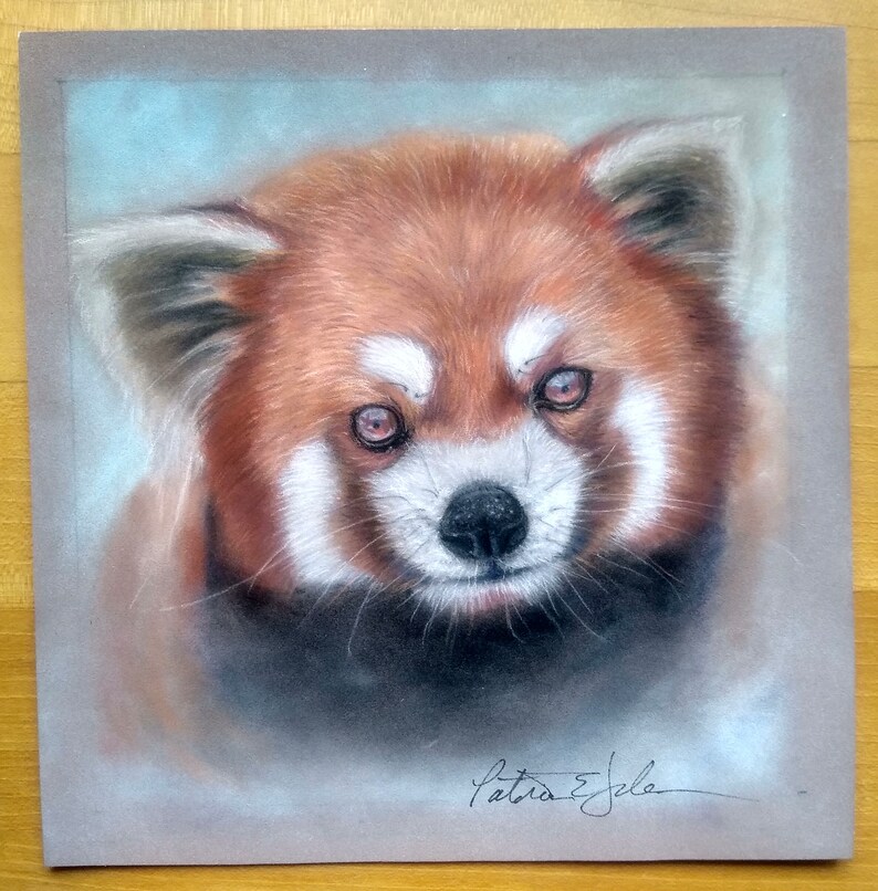 ENDANGERED RED PANDA - Pastel Illustration of Endangered Species - Etsy