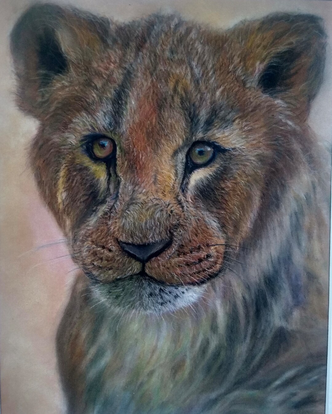 LION CUB - SYMBA - Orginal Pastel Drawing 8 X 10 - Etsy