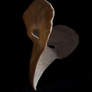 Venetian Mask Raw Cast Diy Crow Bird Masquerade Blank Unfinished Cast ...