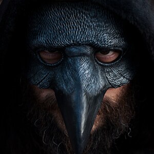 Venetian Style Crow Mask - Raven Costume Animal Masquerade - Bird ...