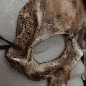 Skull Mask Death Halloween Costume Accessory Sesin Bone Mask Larp Dark ...