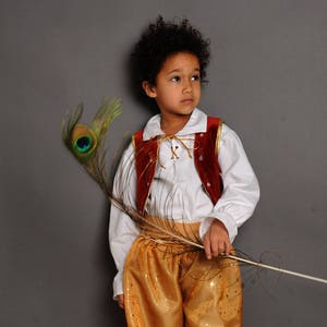 Items to the Aladdin Costume, Sultan, Sheherazade, Sindbad, 1001 Nights ...