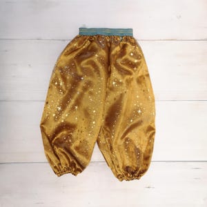 Items to the Aladdin Costume, Sultan, Sheherazade, Sindbad, 1001 Nights ...