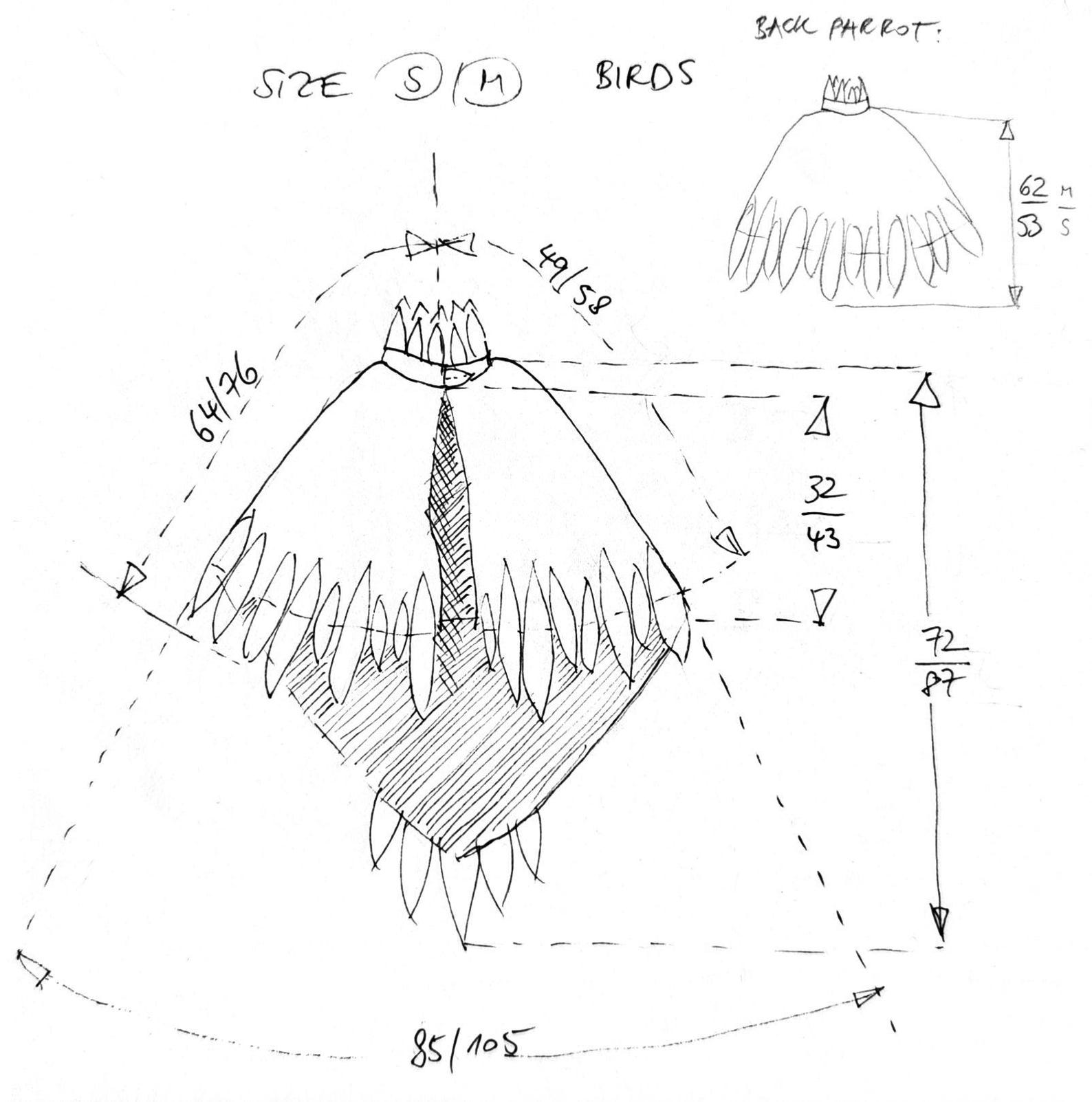 Eagle, Bird of Prey, Cockatoo, Halloween, Halloween Costume, Colorful ...