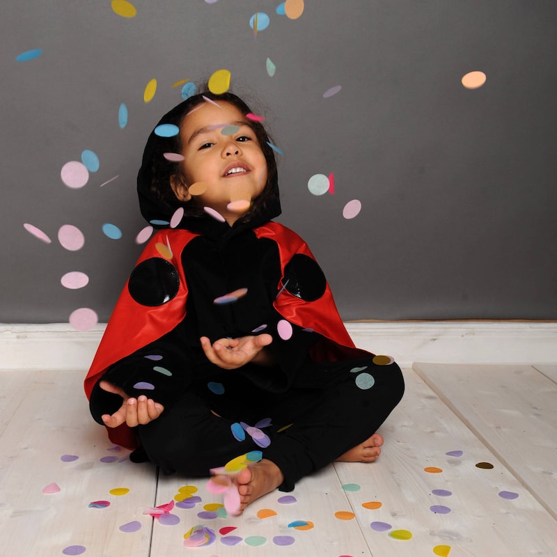 Ladybug Cape - Etsy