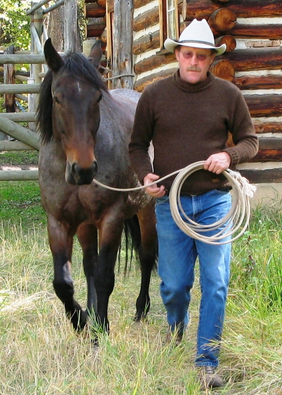 Bison Ranch Sweater - Etsy