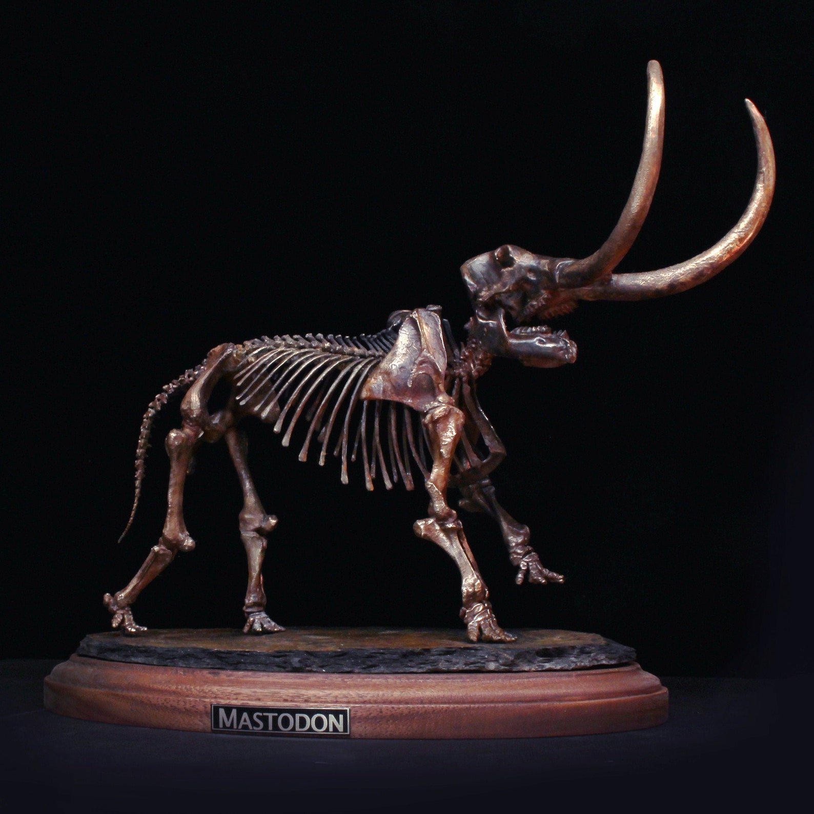 MASTODON Insanely Detailed 1/12 Scale Skeleton Cast in | Etsy