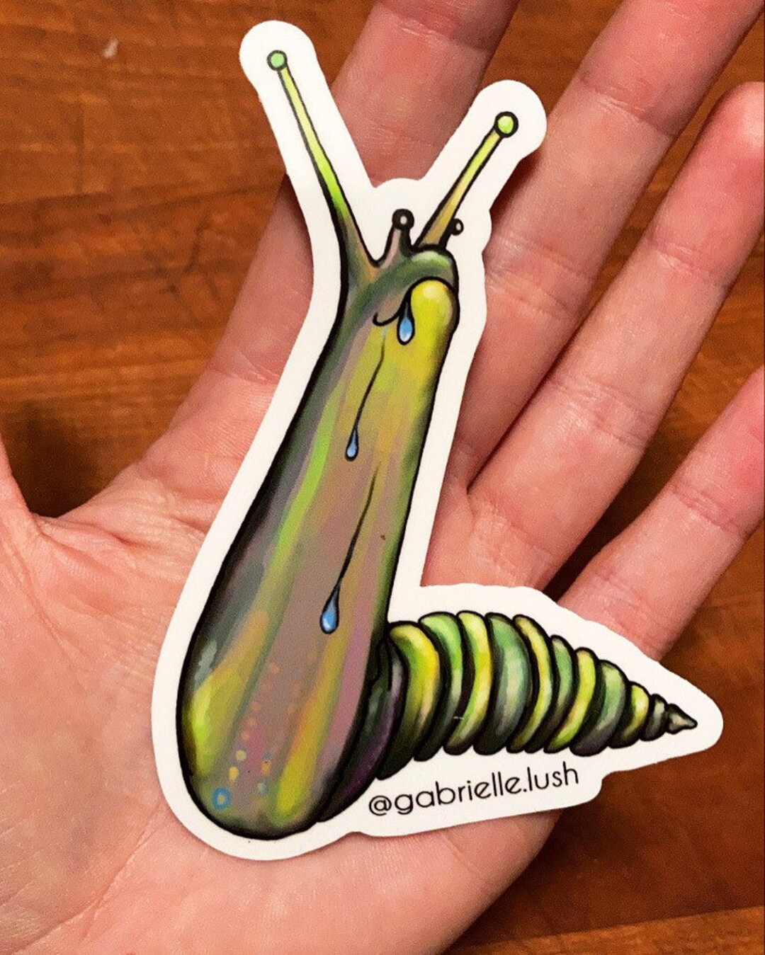 Slug Slap Sticker | Slug Bug Decor Decoration Psychedelic Nature Insect ...