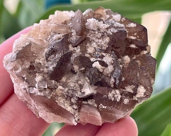 TheNorthWoodsCompany - Etsy