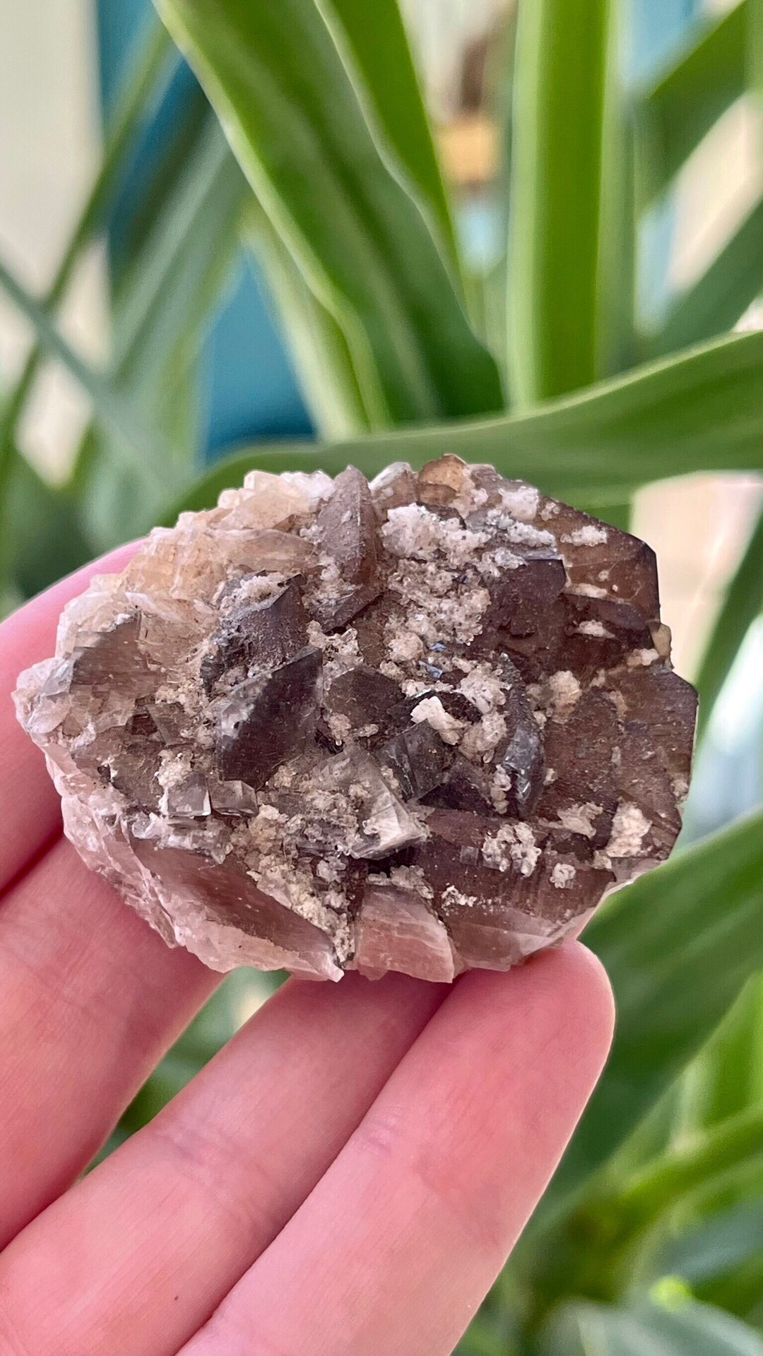 Barite on Calcite Specimen From Kansas ~ Fogle Quarry - Etsy