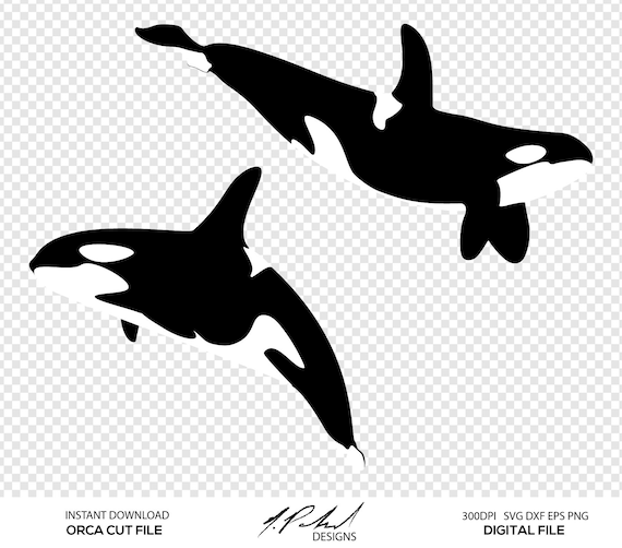 Orca Whale Digital Cut Files - Digital Files - Orca SVG - Orca DXF ...