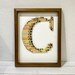 READY TO SHIP- Letter C - Crayon Monogram Large // Brown,dark Green ...