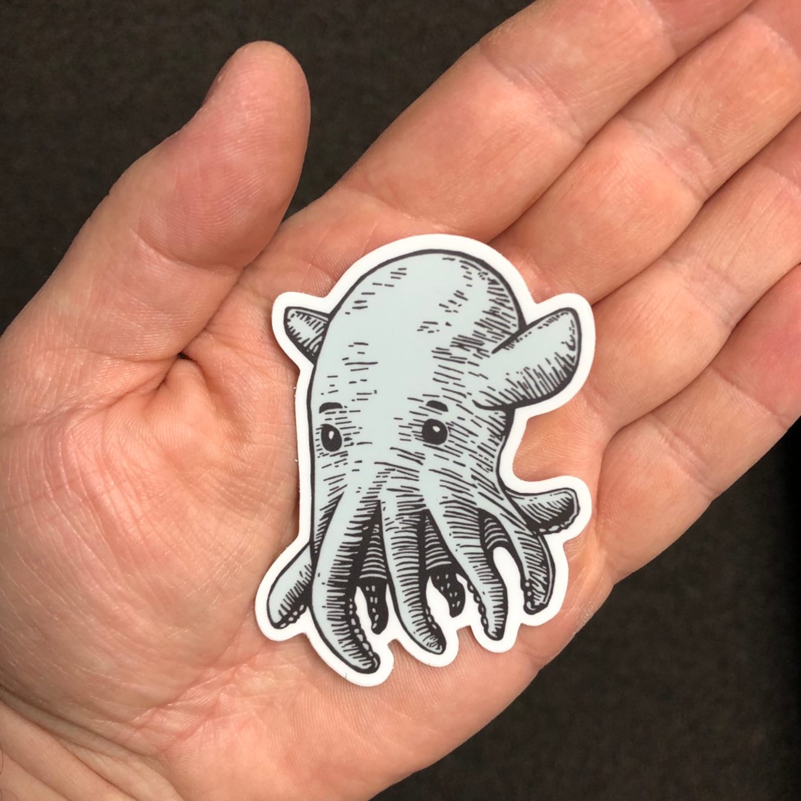 Dumbo Octopus VINYL Sticker | Etsy
