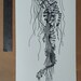 Jellyfish (hand Drawn Pen & Ink) - Etsy