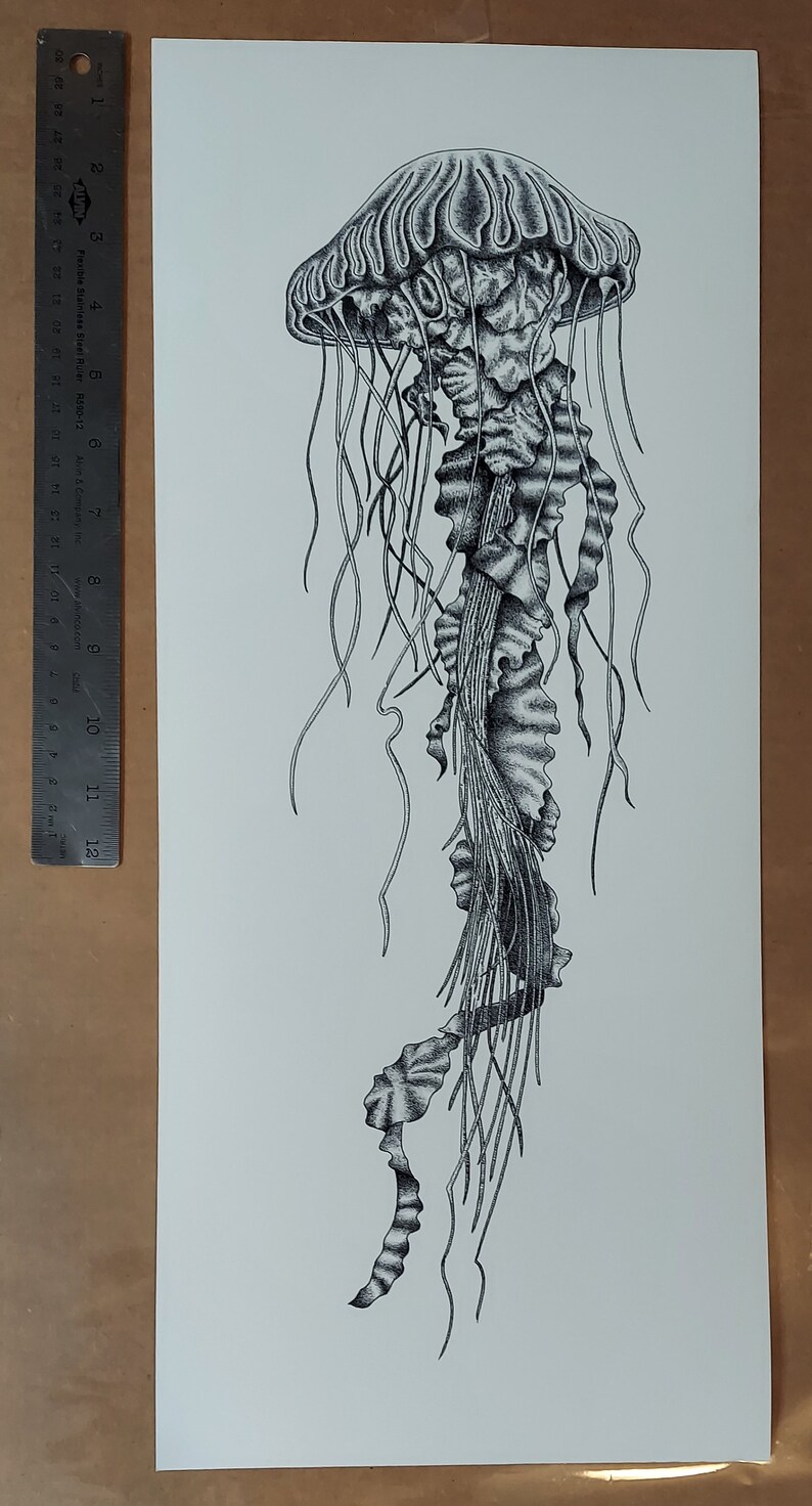 Jellyfish (hand Drawn Pen & Ink) - Etsy