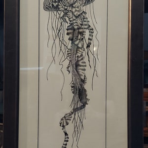 Jellyfish (hand Drawn Pen & Ink) - Etsy