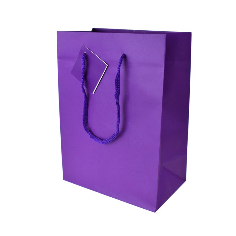 Solid Colored Matte Gift Bags with Tag 9-1/2-Inch | Etsy