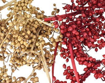 Dried Natural Canella Berry Bundles - Etsy