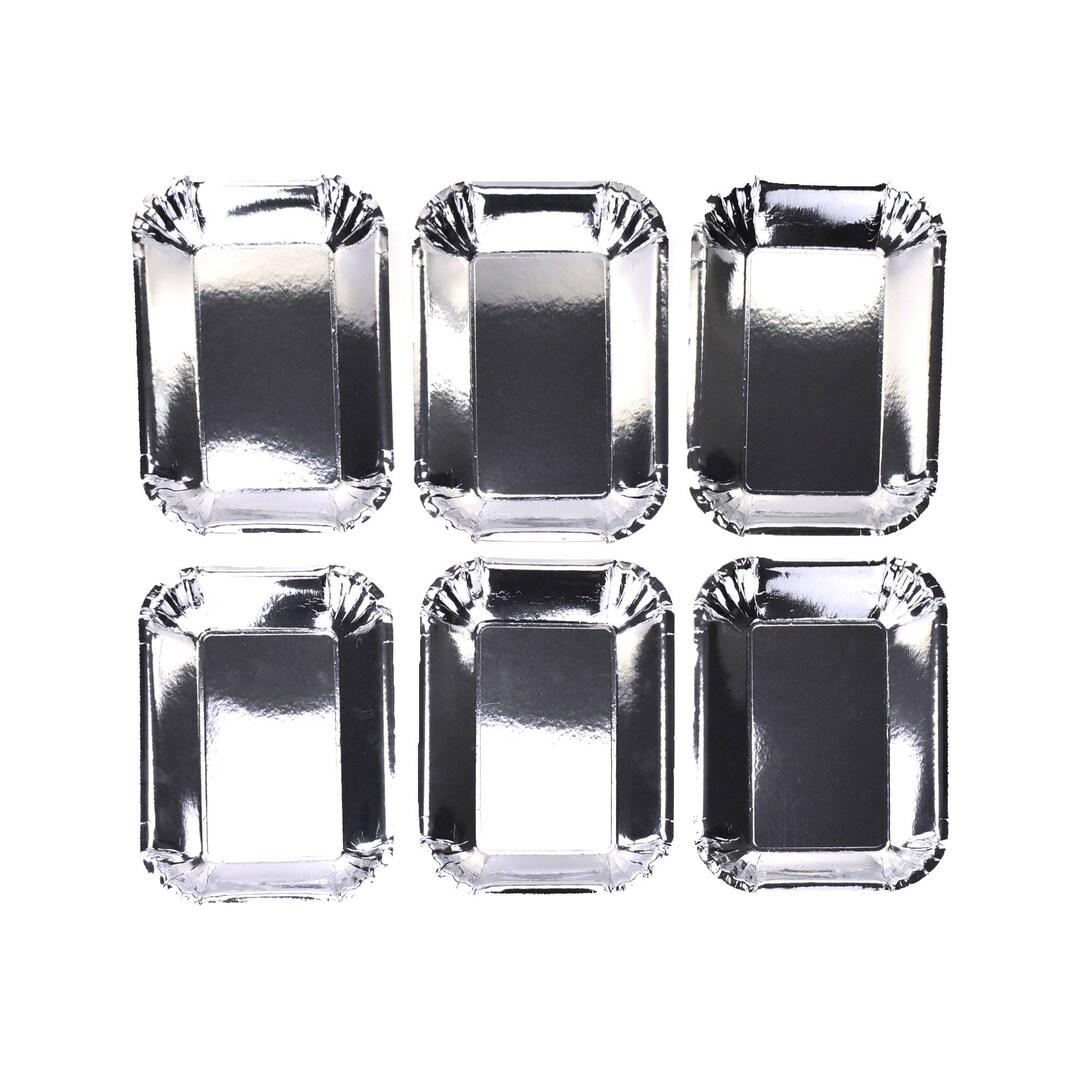 Metallic Finish Rectangular Paper Plates, Silver, 10-inch, 6-count - Etsy
