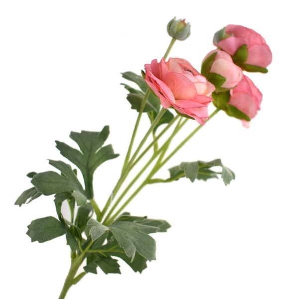 Silk Ranunculus - Etsy