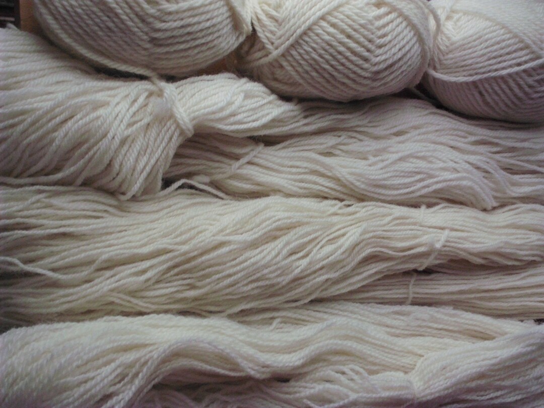 Natural Undyed Organic Wool From Our Flock of Lleyn Sheep to Use for ...