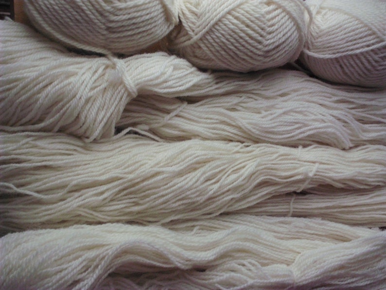 Natural Undyed Organic Wool From Our Flock of Lleyn Sheep to - Etsy UK