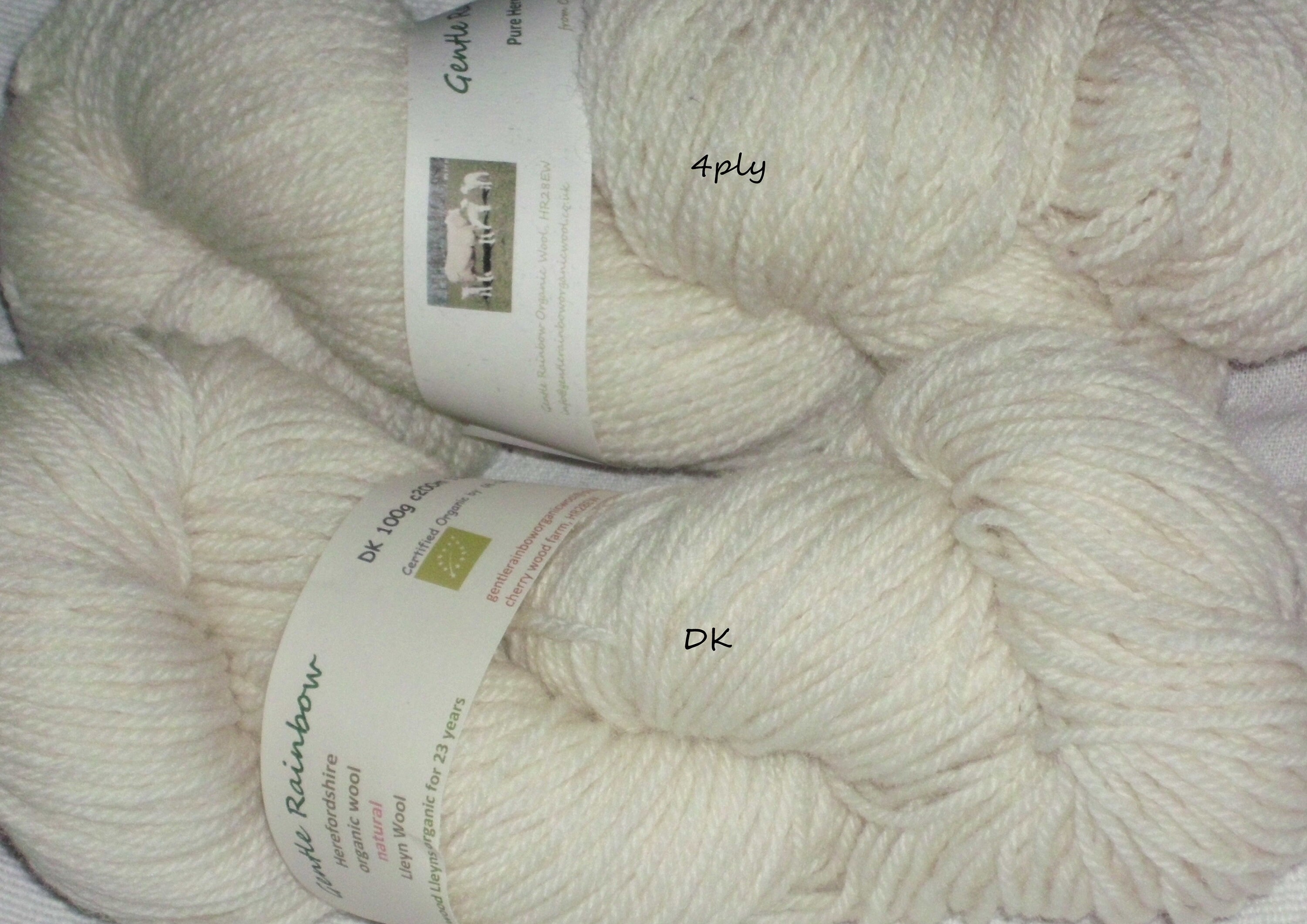 Natural Undyed Organic Wool From Our Flock of Lleyn Sheep to - Etsy UK