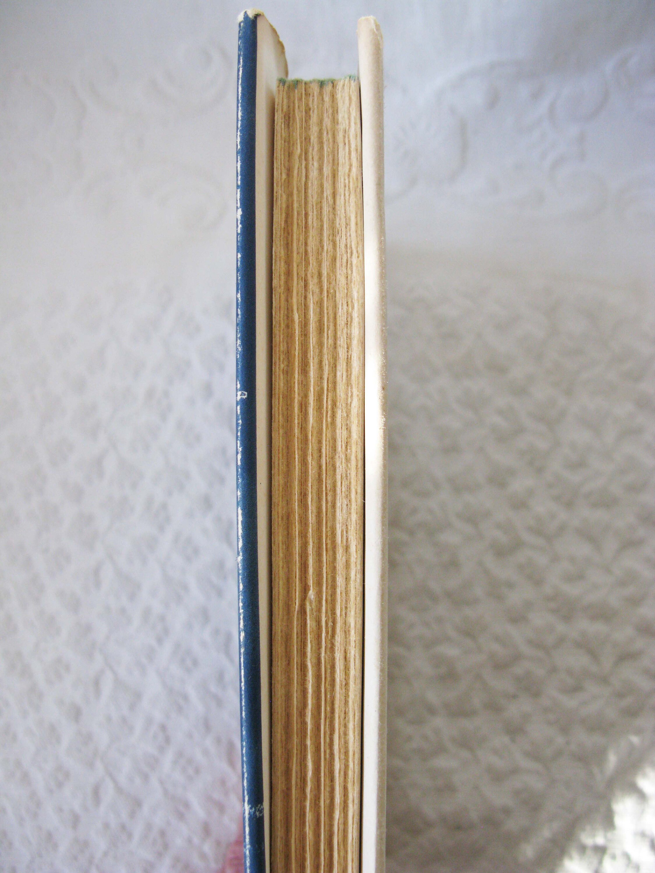 Book Timeliner Sci Fi Time Travel Quantum Leap Vintage Retro - Etsy