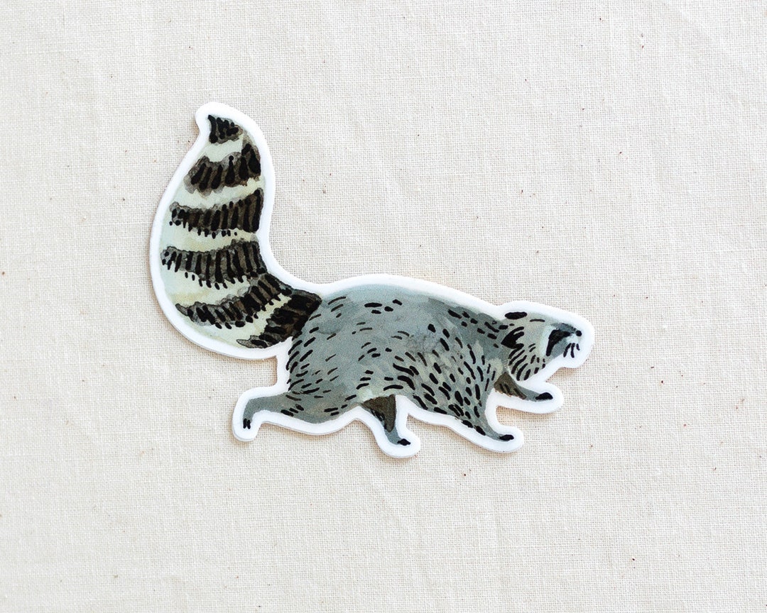 Raccoon Animal Sticker - Waterproof Vinyl Sticker - Etsy