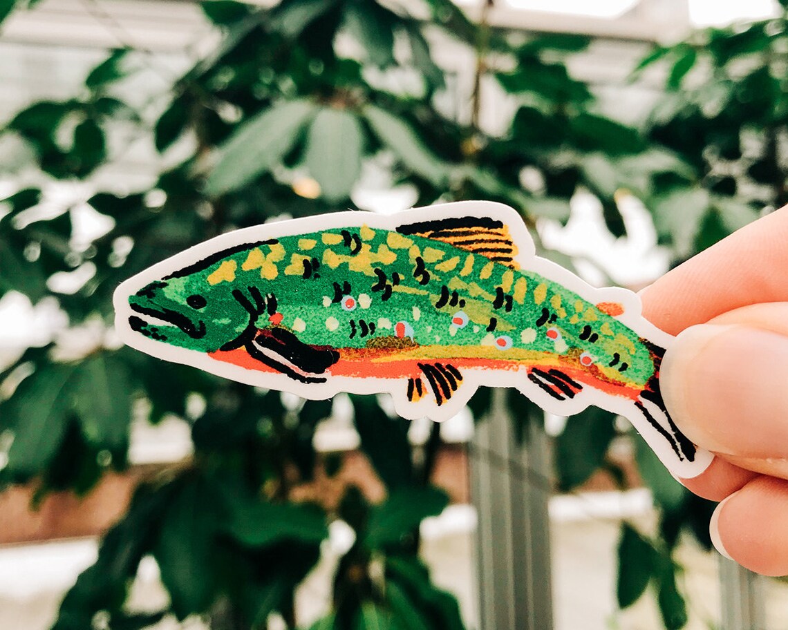 Brook Trout Fish Sticker Waterproof Vinyl Sticker - Etsy