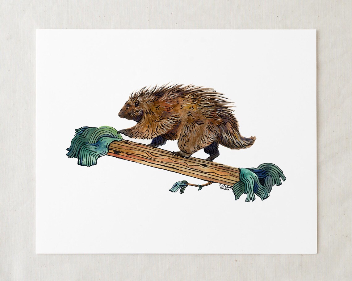 Porcupine - Art Print - Etsy