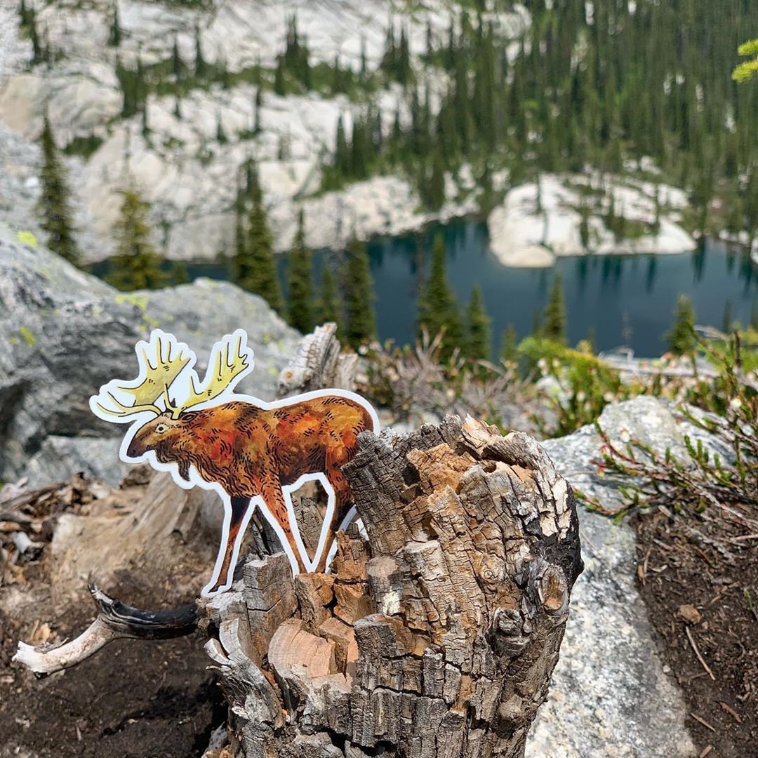 Moose Animal Sticker Waterproof Vinyl Sticker | Etsy