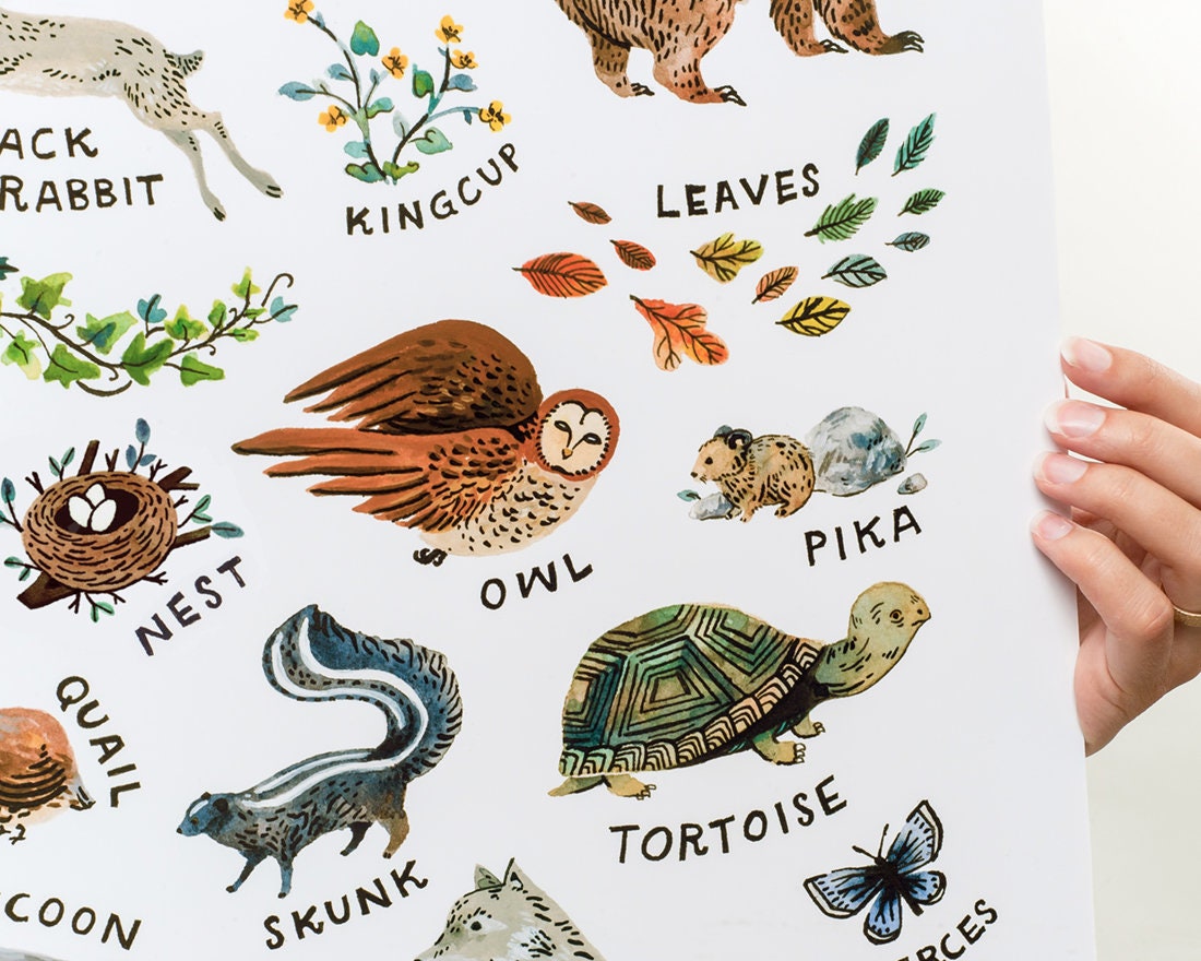 ABC Woodland Animal Alphabet - Art Print - Etsy