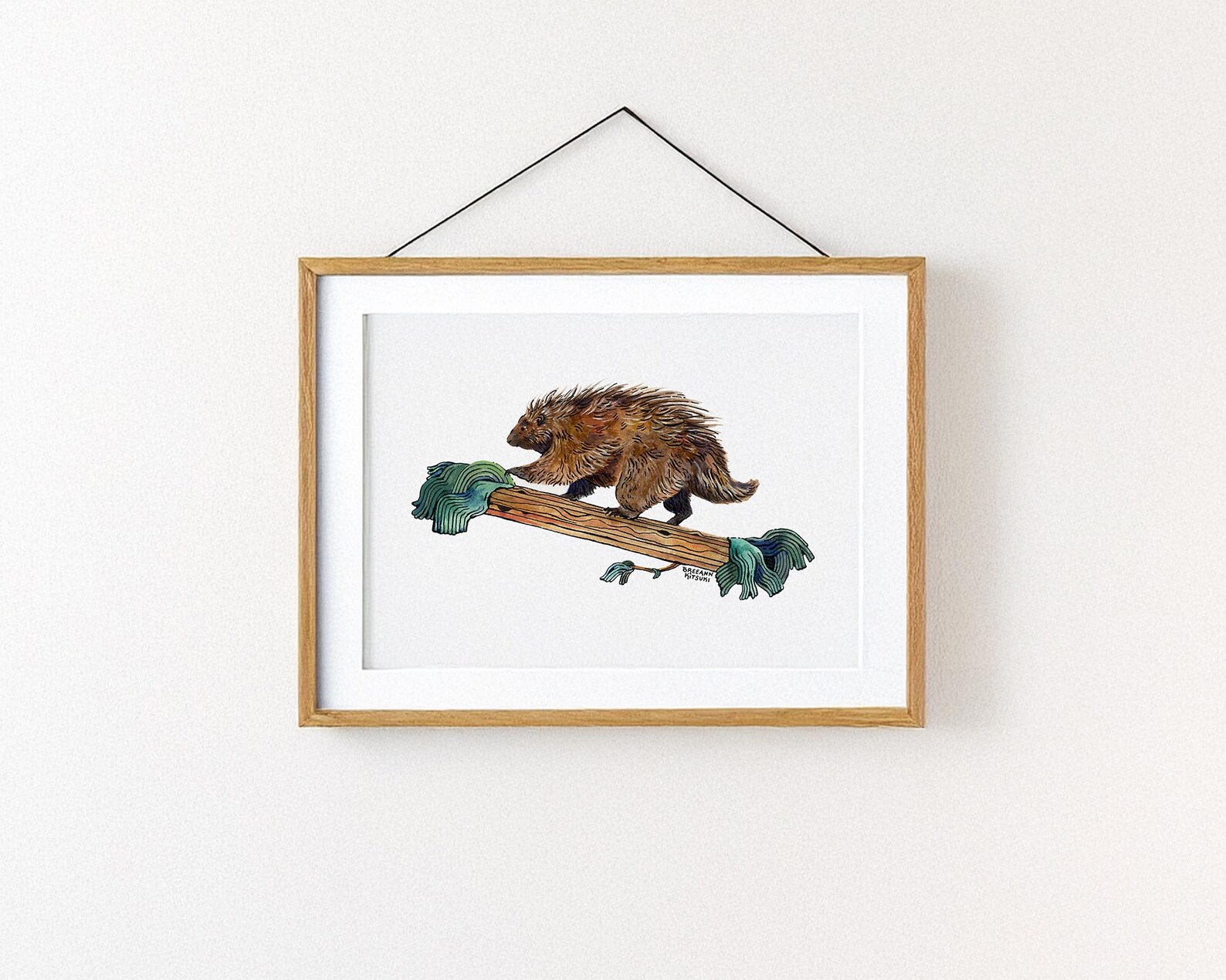 Porcupine - Art Print - Etsy