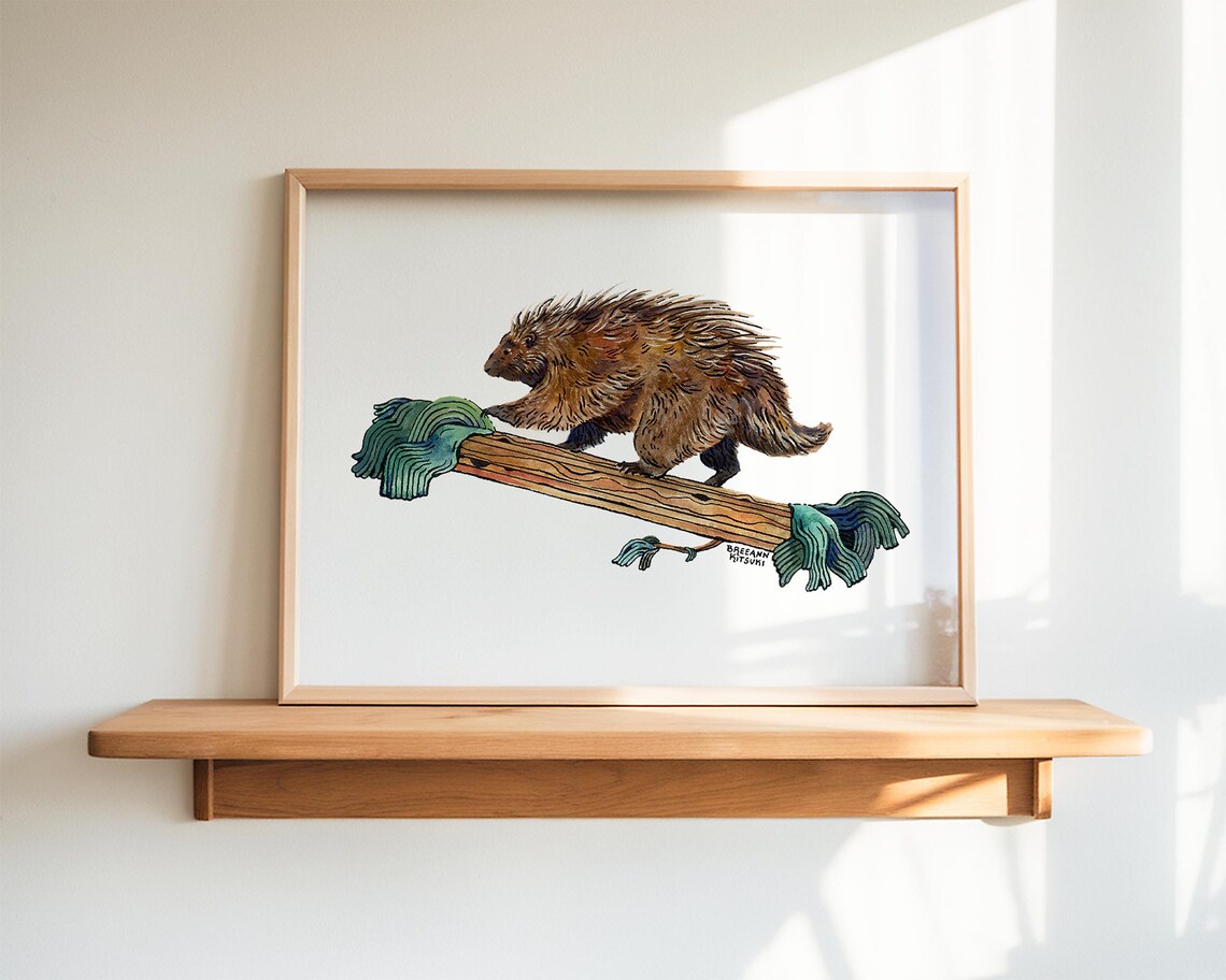 Porcupine - Art Print - Etsy