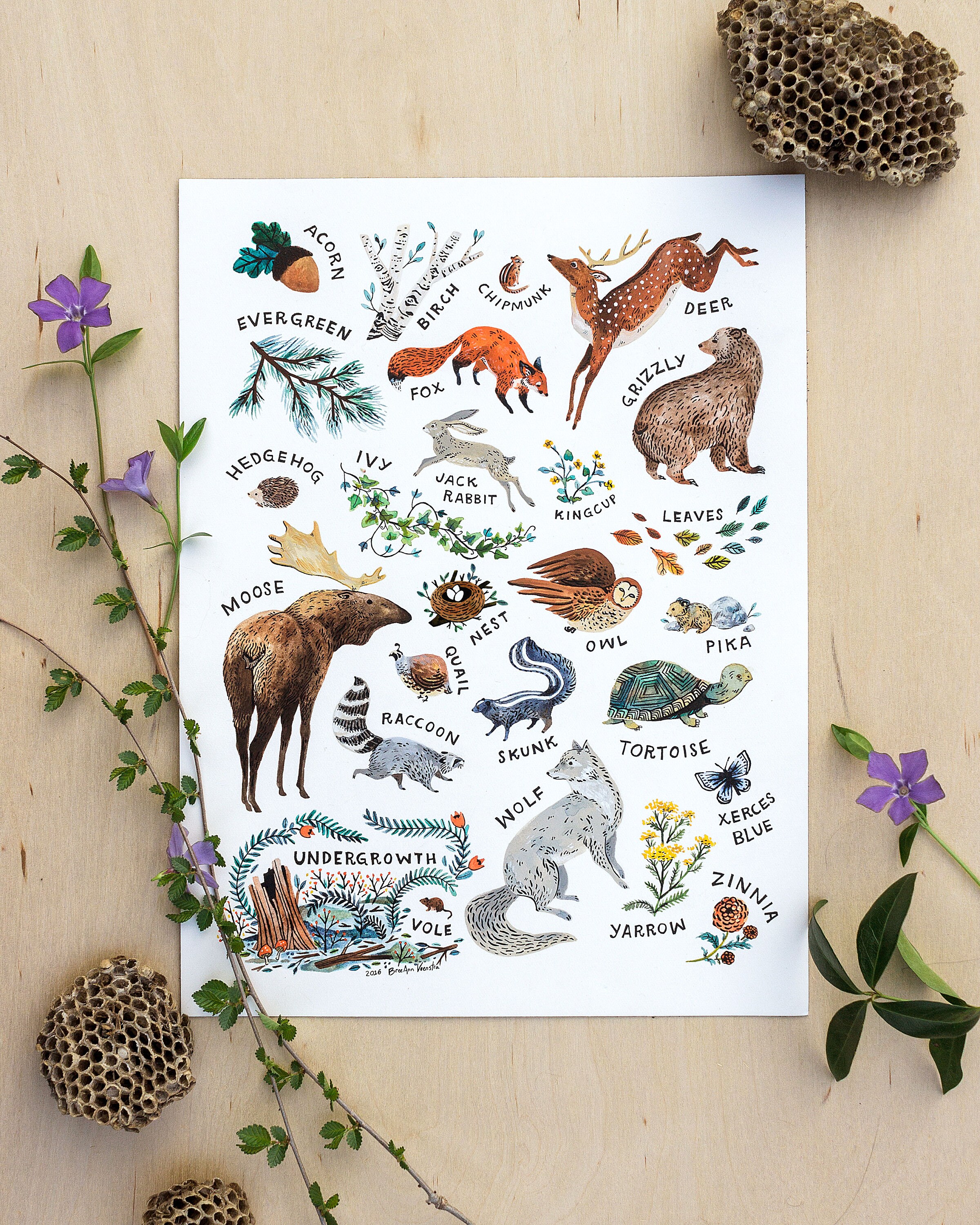 ABC Woodland Animal Alphabet - Art Print - Etsy