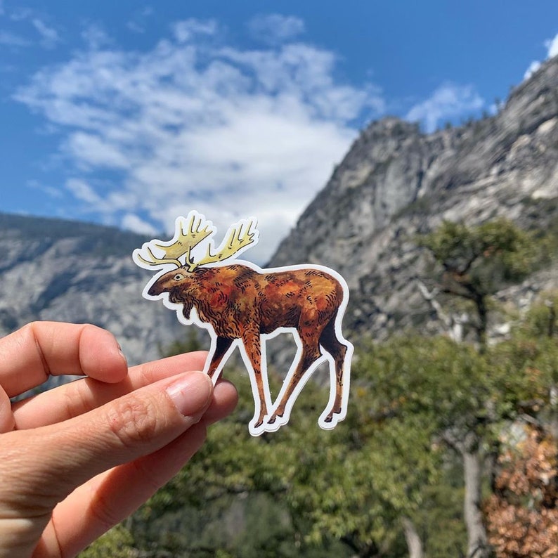 Moose Animal Sticker Waterproof Vinyl Sticker - Etsy