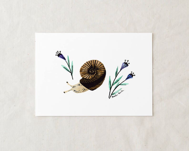 Snail - Art Print - Etsy