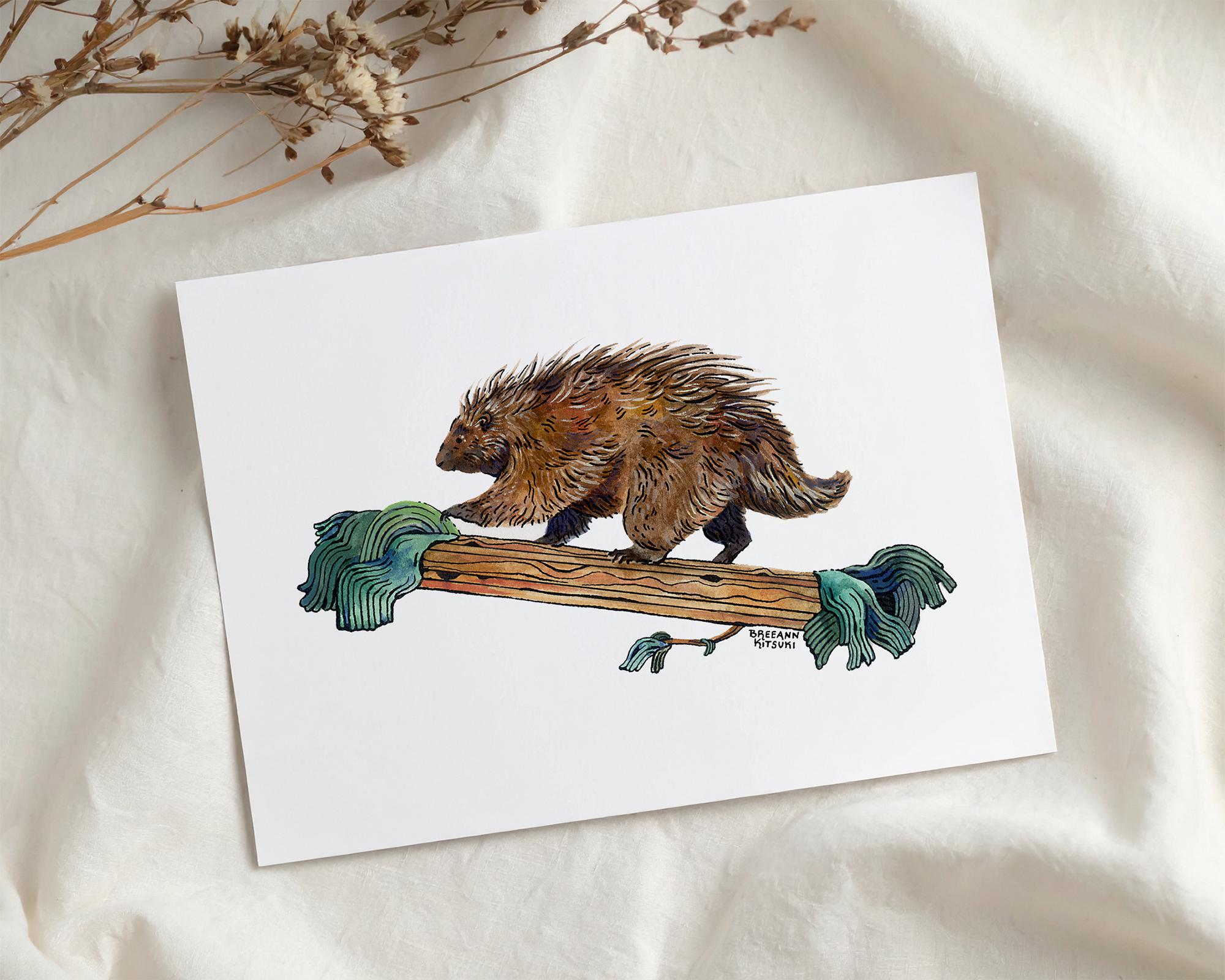 Porcupine - Art Print - Etsy