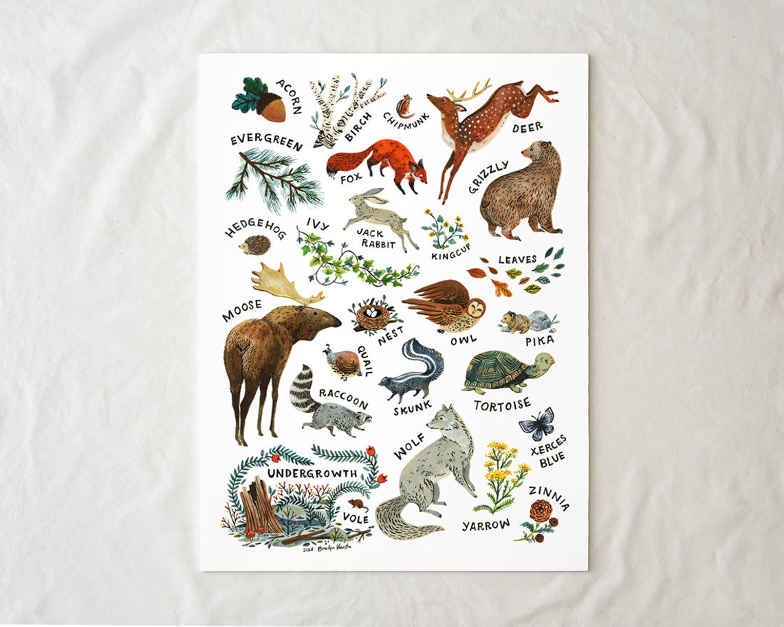 ABC Woodland Animal Alphabet Art Print - Etsy