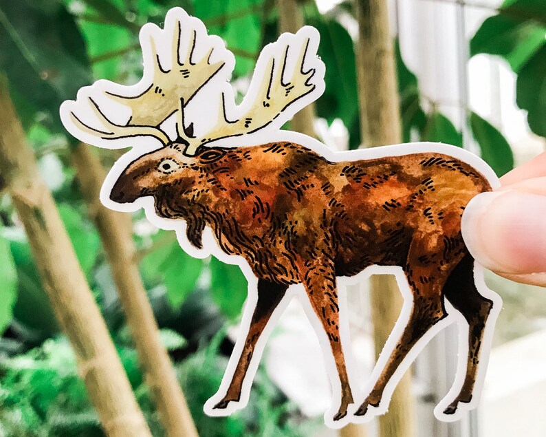 Moose Animal Sticker Waterproof Vinyl Sticker - Etsy