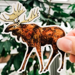 Moose Animal Sticker - Waterproof Vinyl Sticker - Etsy